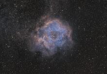 Авторитет Раков вырастет, Водолеям пора в санаторий | Живая Кубань